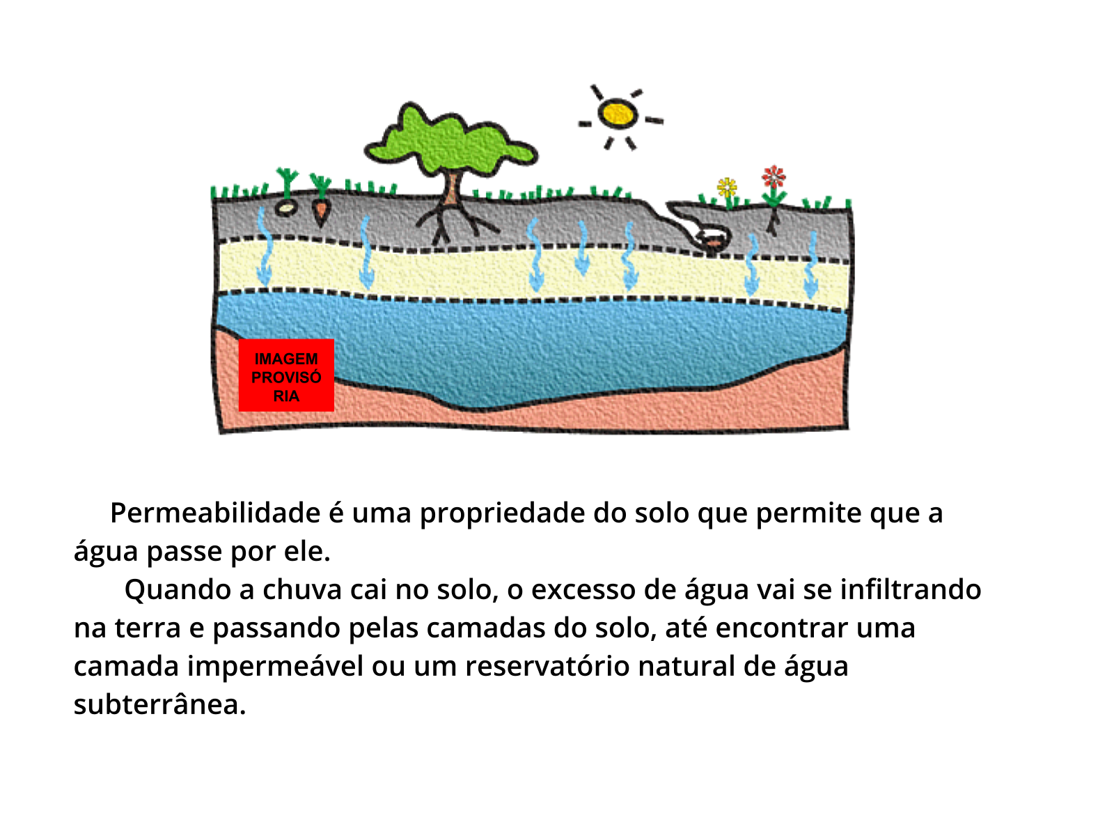 Permeabilidade do Solo - Planos de aula - 3º ano - Ciências