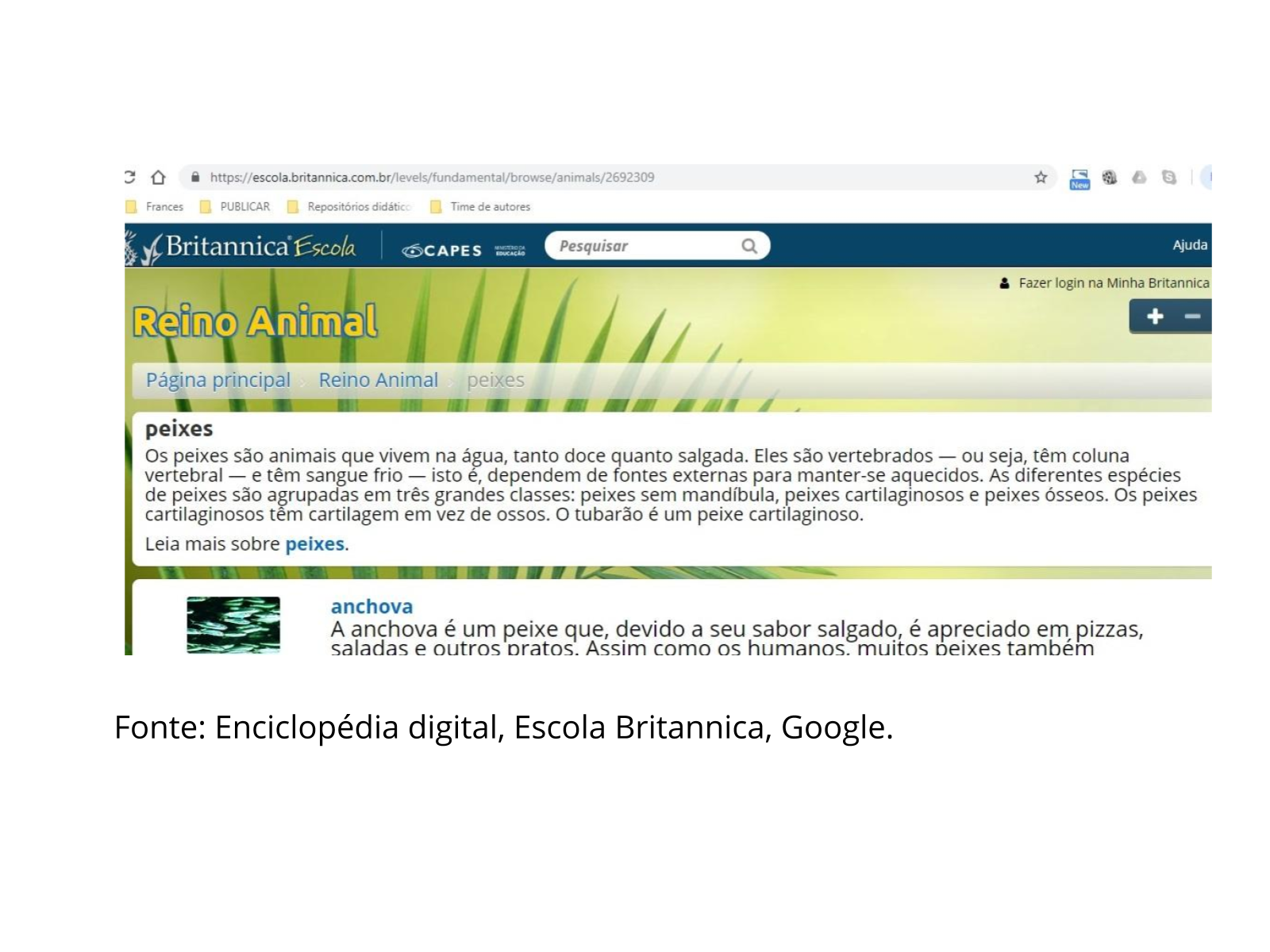 Plano de aula - 4º ano - Forma de composição do gênero verbete