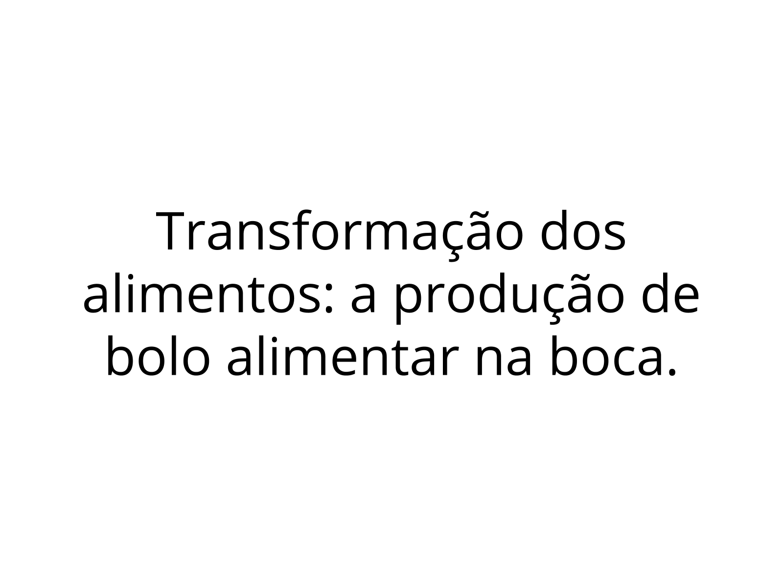 Plano de aula - 5o ano - Transformação dos alimentos: a produção do ...