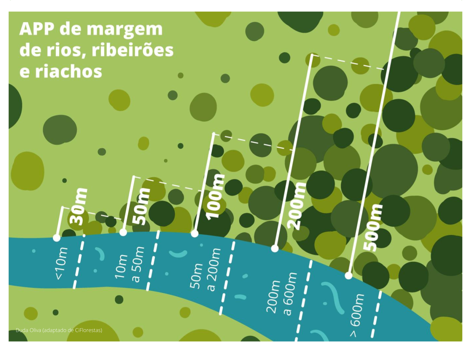 Área de Preservação Permanente (APP) e qualidade ambiental - Planos de ...