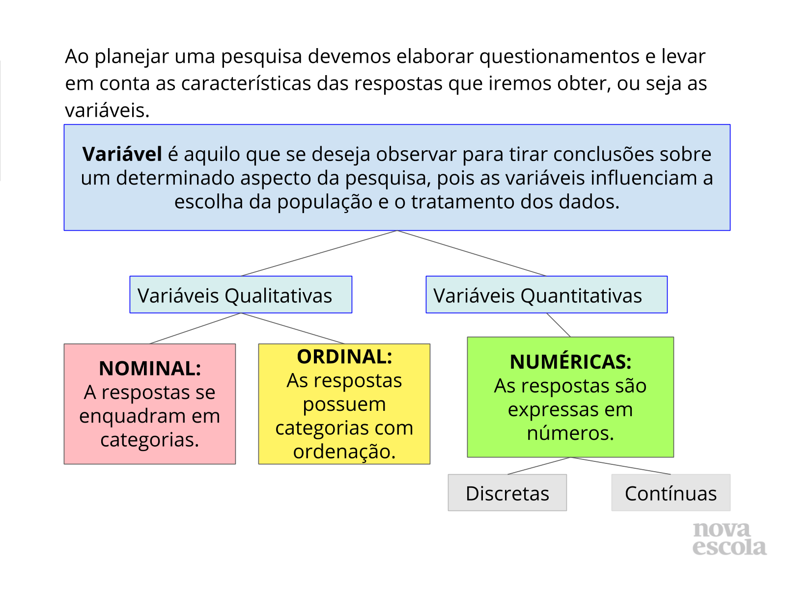 O que são variáveis estatísticas? - Planos de aula - 5º ano