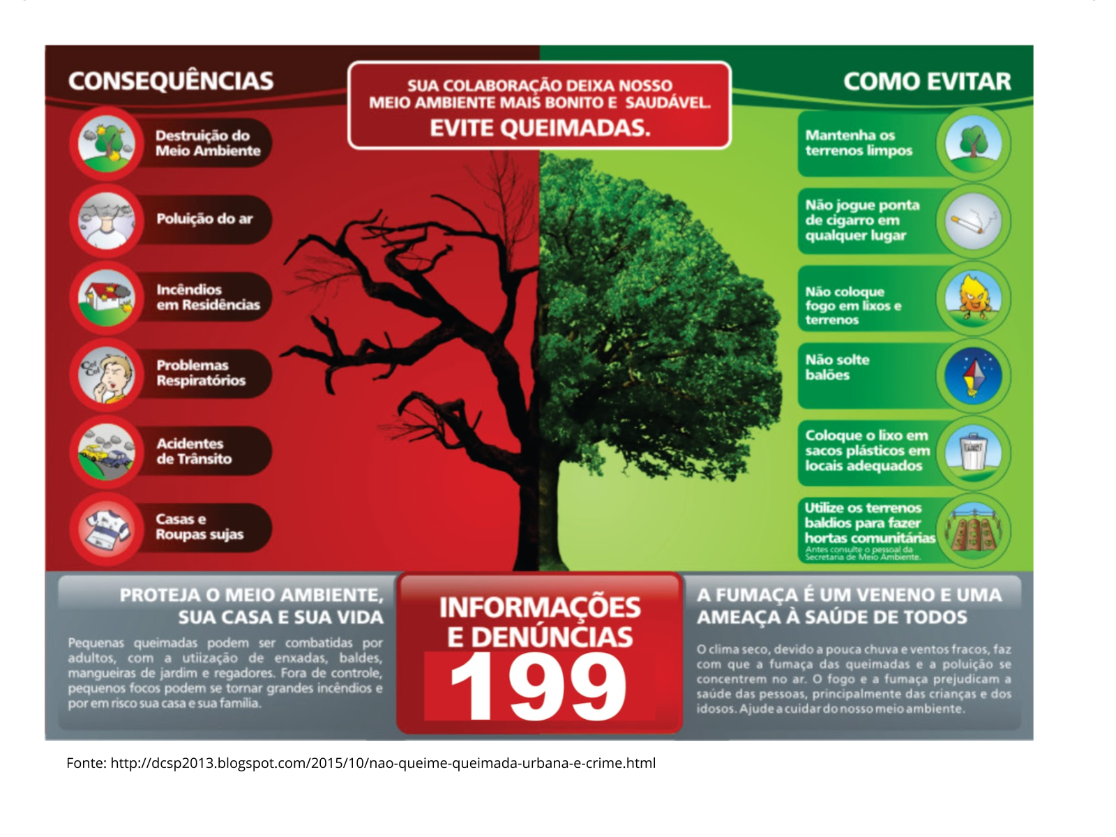 As queimadas no Brasil - Planos de aula - 5º ano - Geografia