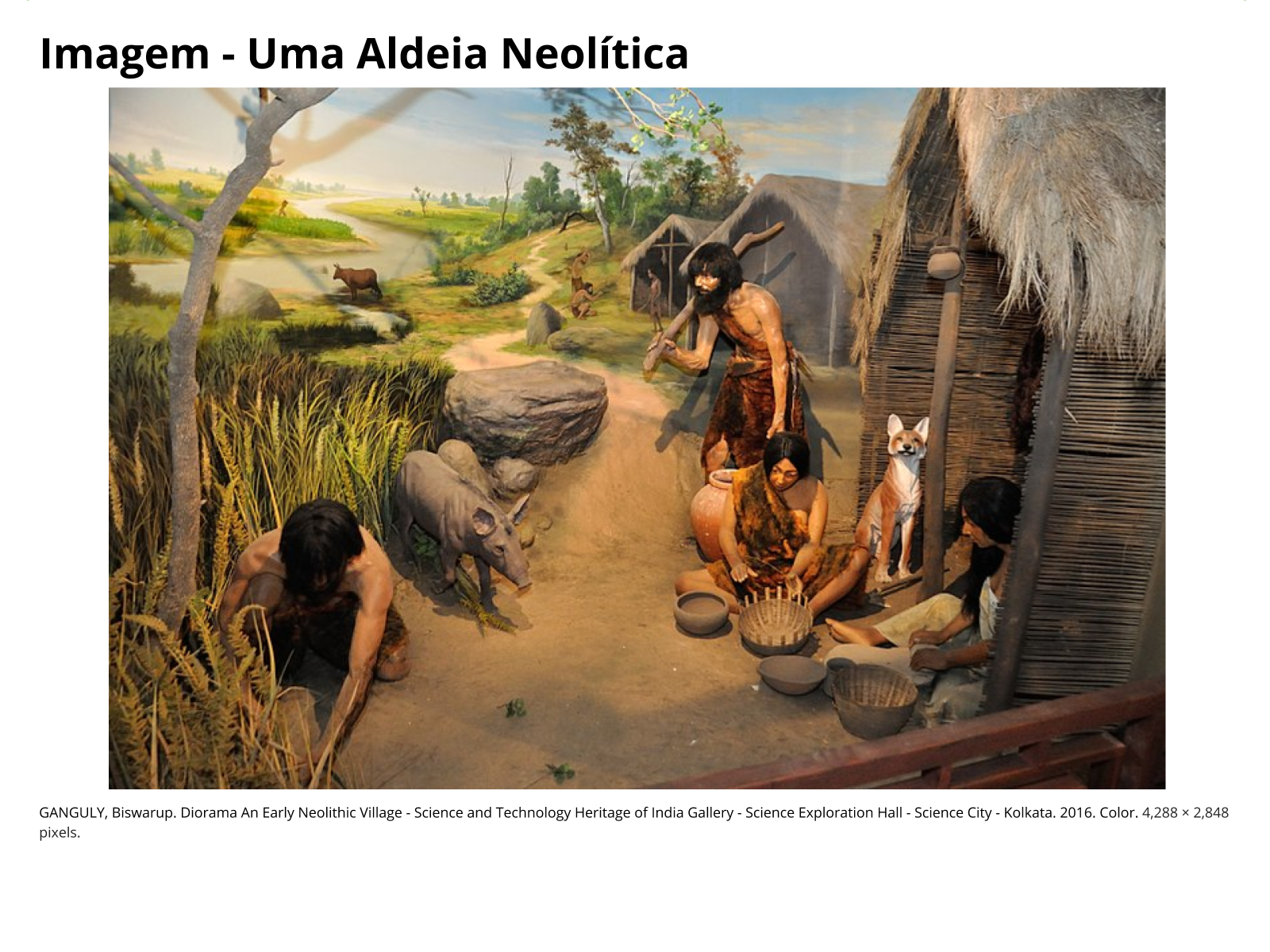 Plano de aula - 6º ano - A Dieta dos Seres Humanos Primitivos e sua ...