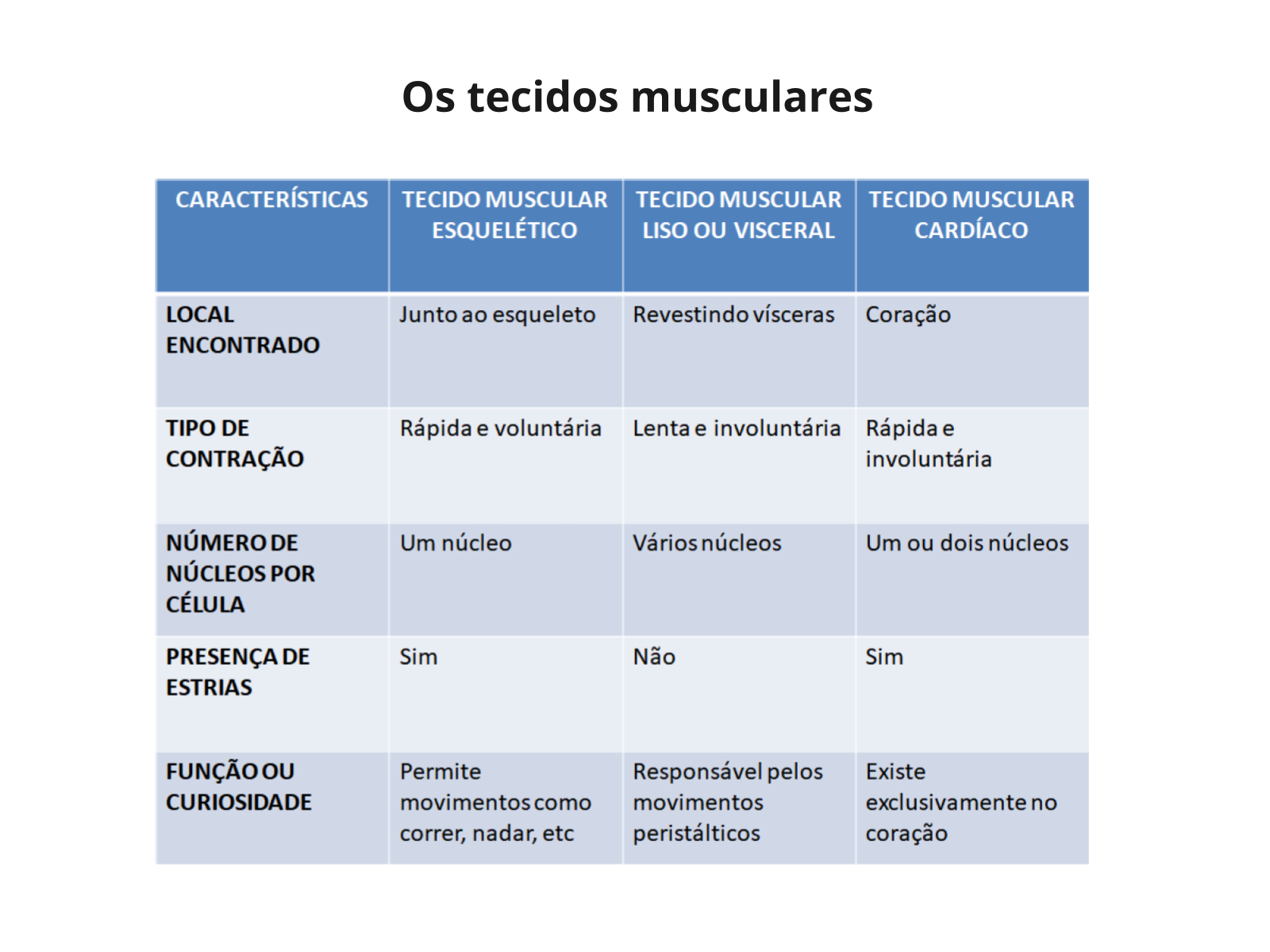 Plano de aula - 6o ano - Características do tecido muscular