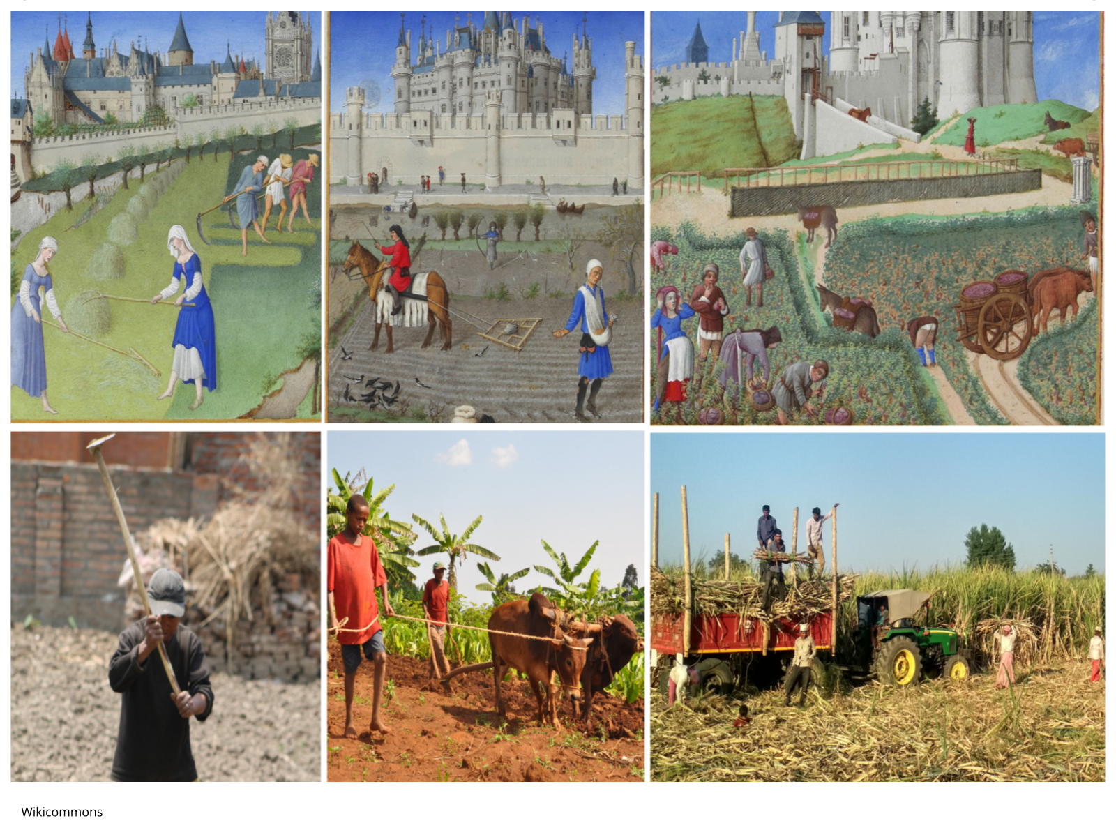 Plano de aula - 6º ano - Feudalismo: senhores e servos