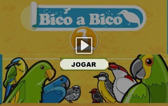 Bico a Bico | Nova Escola