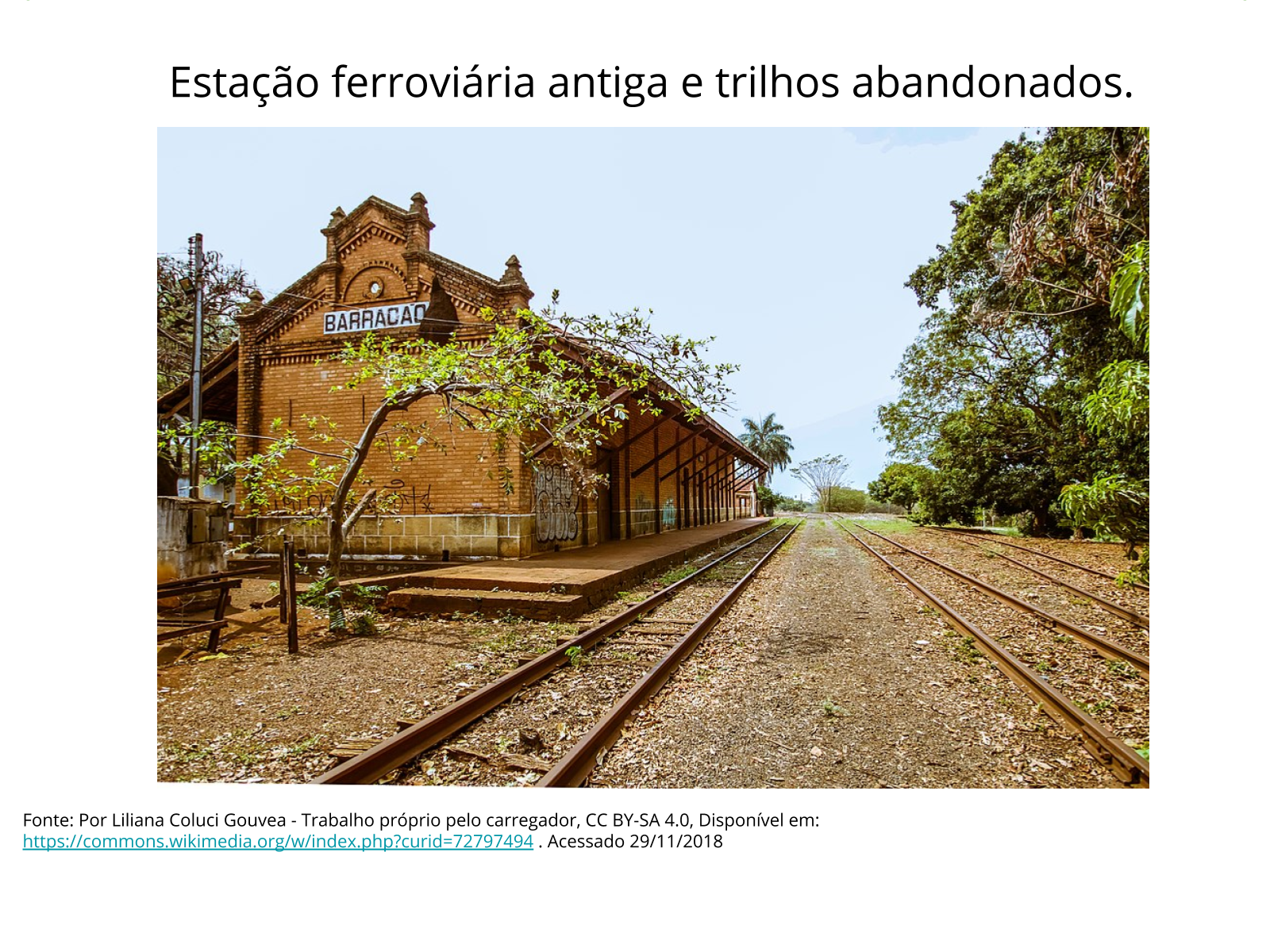 Ferrovias no Brasil - Planos de aula - 7°ano - Geografia