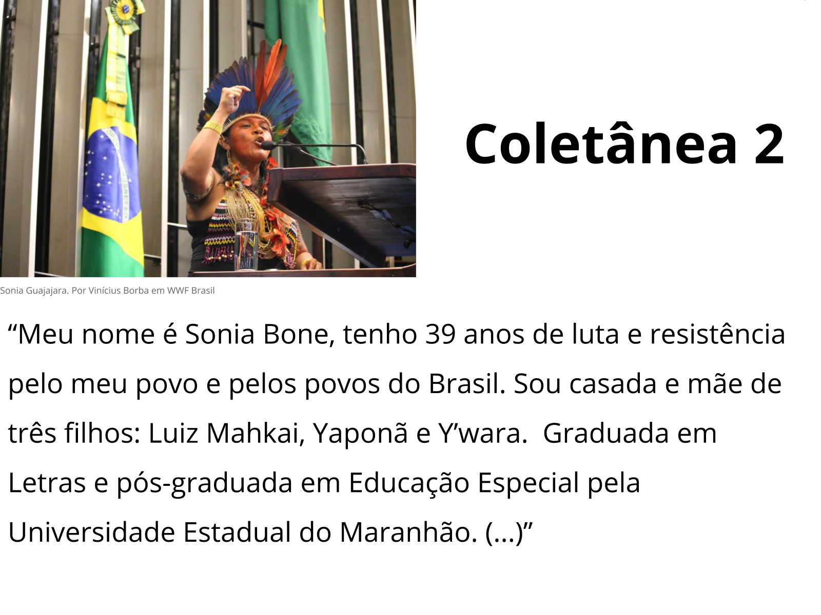 Plano de aula - 8º ano - Indianismo: a imagem indígena no romantismo ...