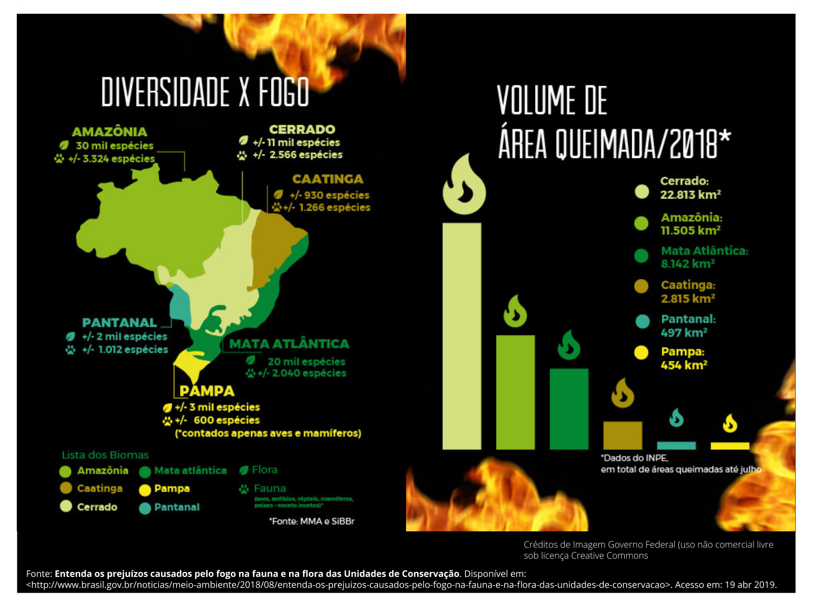 Queimadas no Cerrado e na Amazônia - Planos de aula - 6°ano - Geografia