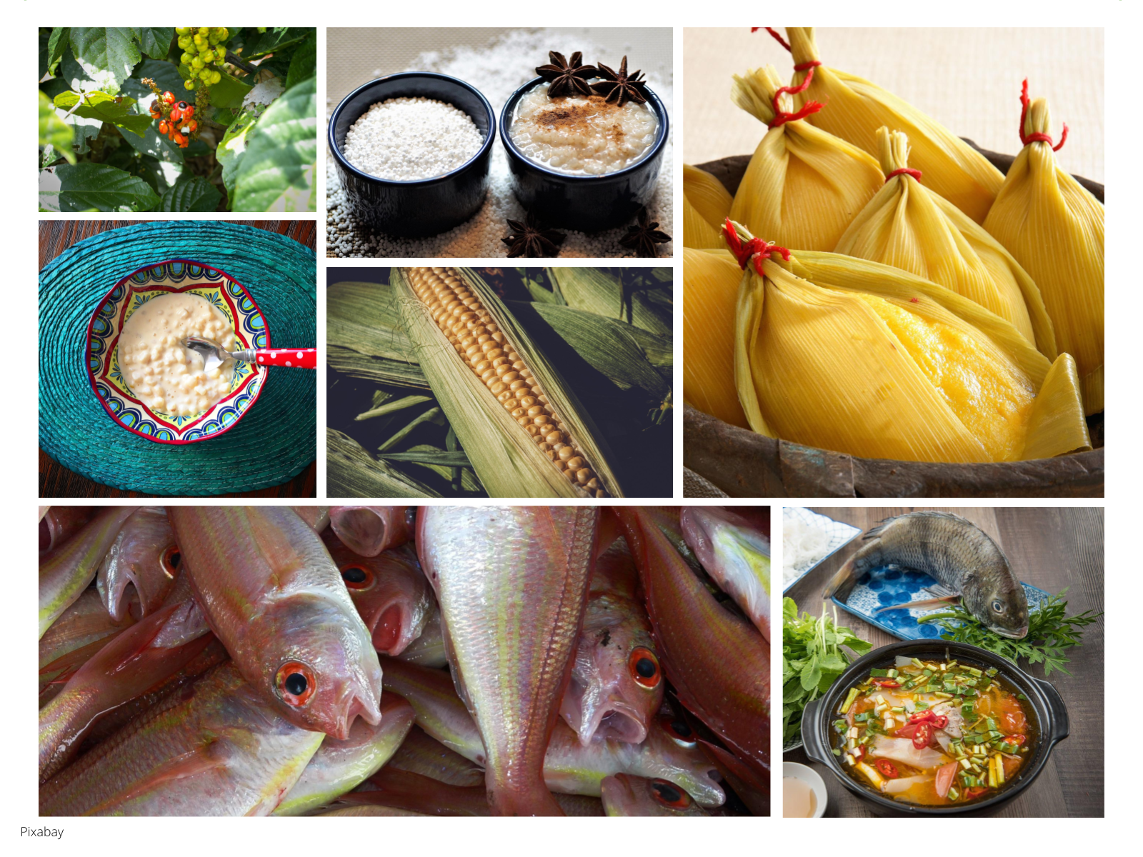 Alimentos e receitas de origem indígena - Planos de aula - 4º ano ...