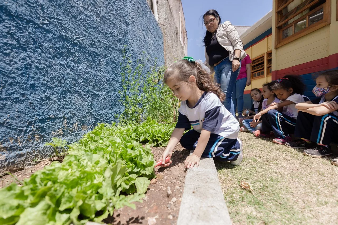 Meio ambiente: como abordar o tema na Educação Infantil | Nova Escola